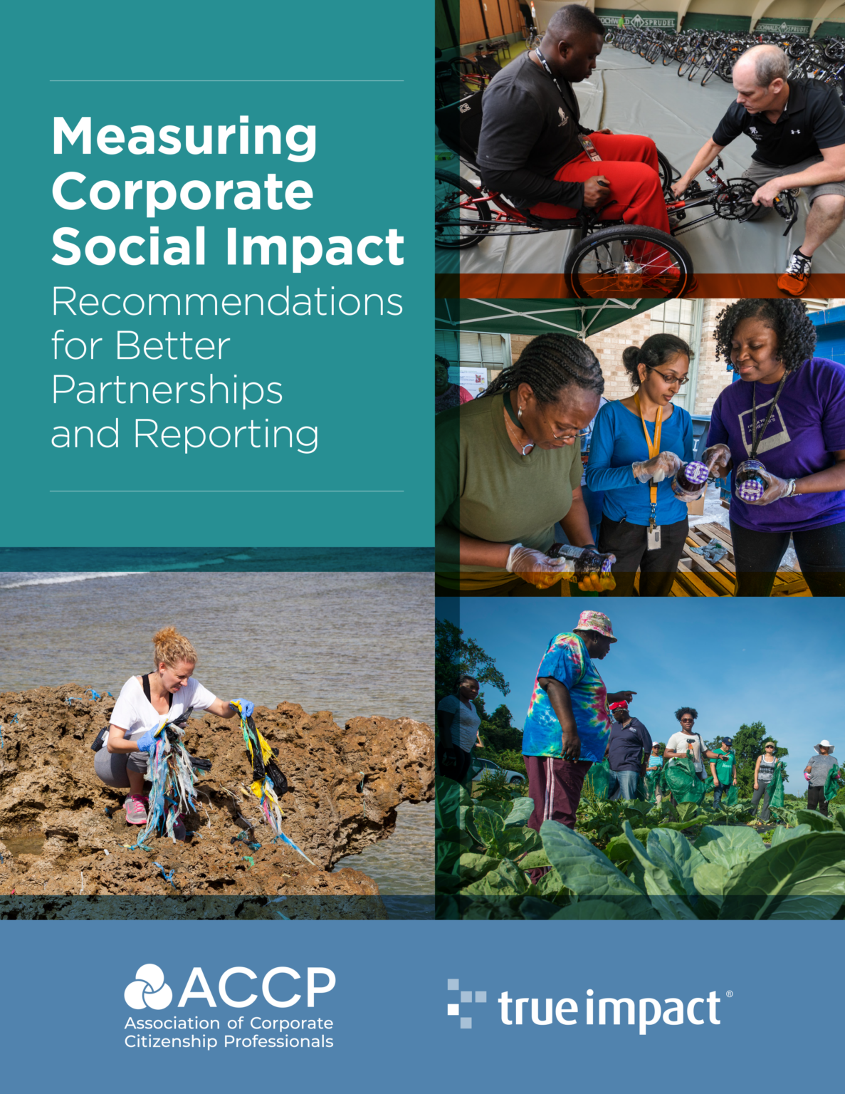 Guide to Measuring Corporate Social Impact - Association of Corporate ...